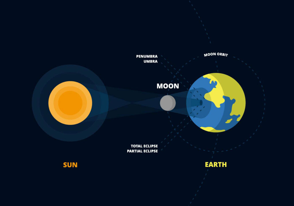 Solar eclipse Labeled Diagram | Anatomy and Structure